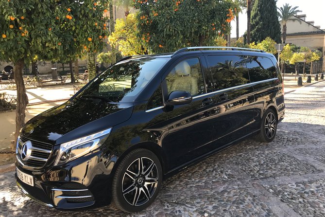 Transfer from the Airport to Madrid - The Vehicle and Driver Experience