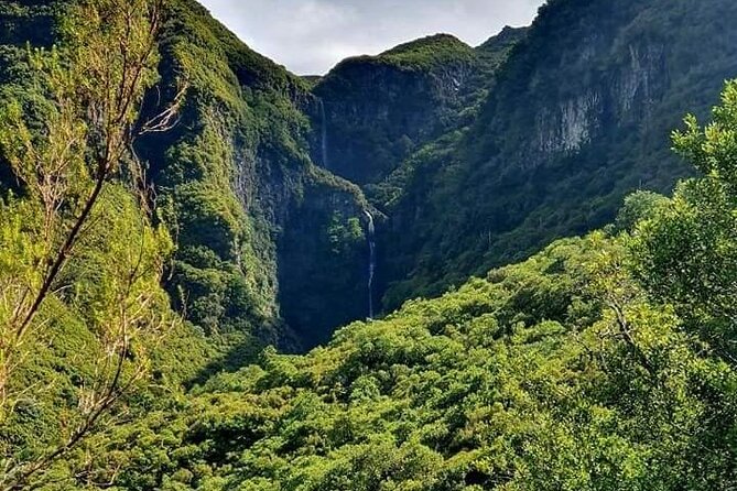 Transfer Rabacal 25 Fontes & Risco Levada Self-Guided - Why Choose This Tour? An In-depth Look