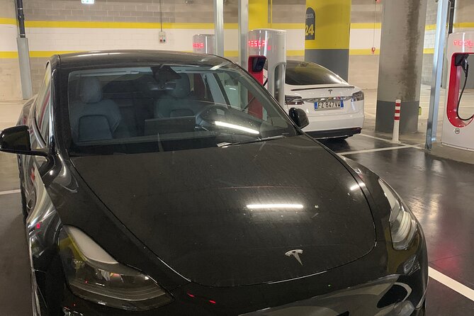Transfer Rome city To Rome Airport - The Detailed Experience: What to Expect