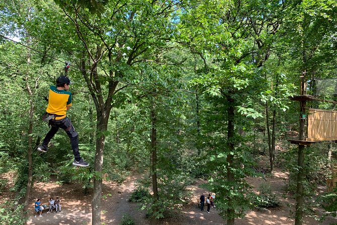 Tree Top Adventure in Forest of Meudon - Key Points