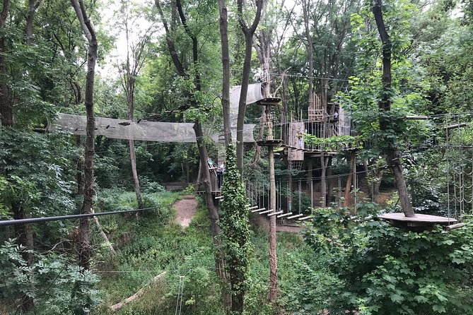Tree Top Adventure in Rueil-Malmaison - The Experience: What Travelers Are Saying
