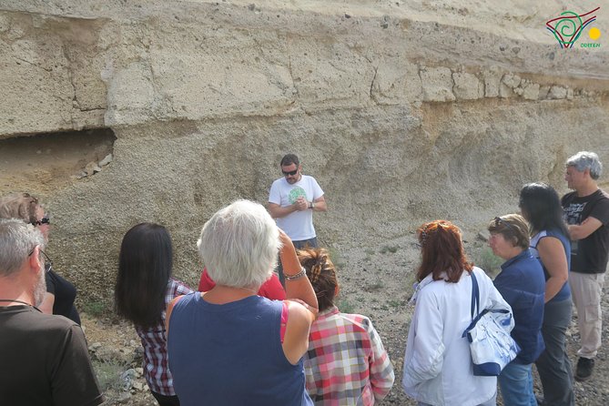 Trekking, wineries, birdwatching, local gastronomy, etc. - Discovering Tenerife’s Diverse Landscape