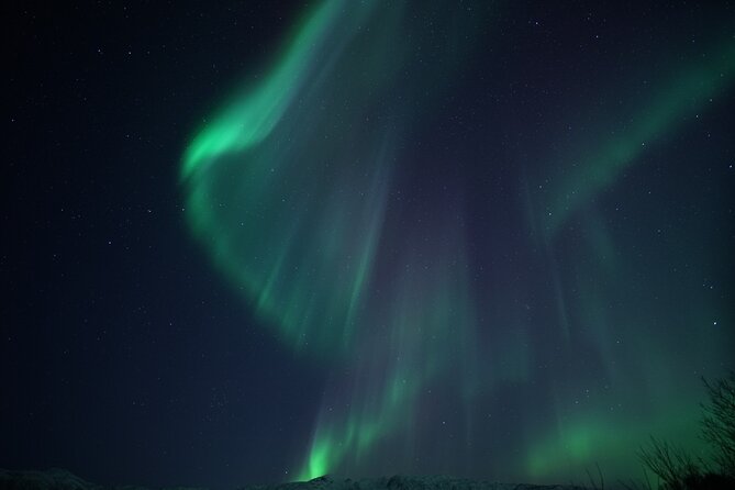 Tromsø: Evening Cruise with Northern Lights Opportunity - Key Points