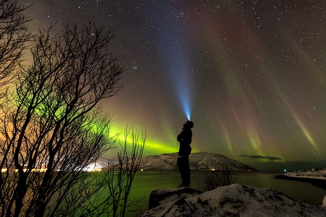 Tromsø Norway - Private northern lights tour with local guide - The Experience: A Close-Up Look at the Tour