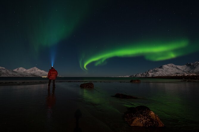 Tromsø Norway - Small Group Aurora Hunt Tour with a local guide - How the Experience Unfolds: Day-to-Day Breakdown