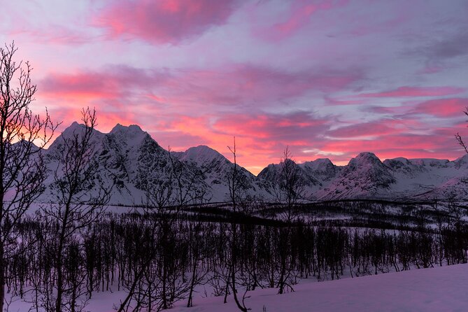 Tromso-Snowshoeing Excursion to Viewpoint - What’s Included — and What’s Not