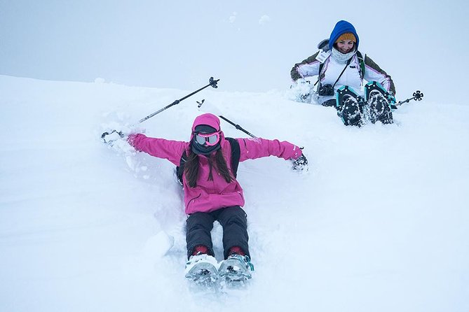 Tromsø: Winter Snowshoeing with Wandering Owl - The Itinerary: What You Can Expect