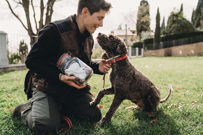 Truffle hunt in Chianti with cooking class and sunset dinner - Practical Details That Matter