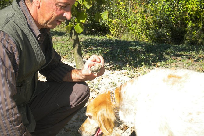 Truffle Hunt & Wine Tasting - The Real Value for Travelers