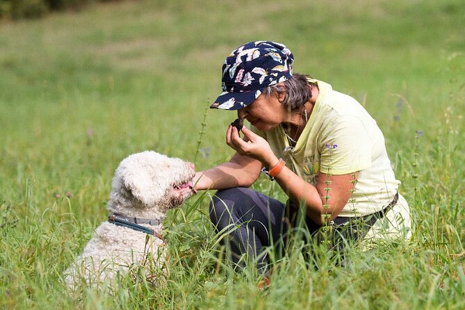 Truffle Hunting and Lunch in Piedmont Trattoria - Experience Breakdown