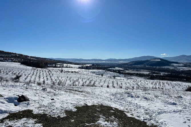 Truffle Hunting in Kyustendil - Practical Details and Considerations