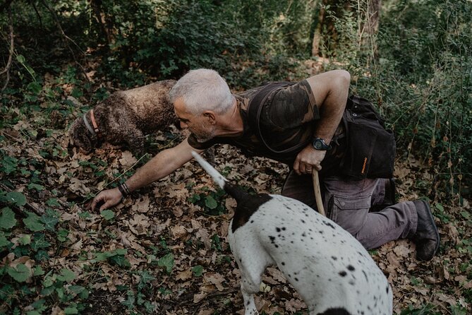 Truffle Hunting in Tuscany - What to Expect from the Truffle Hunt