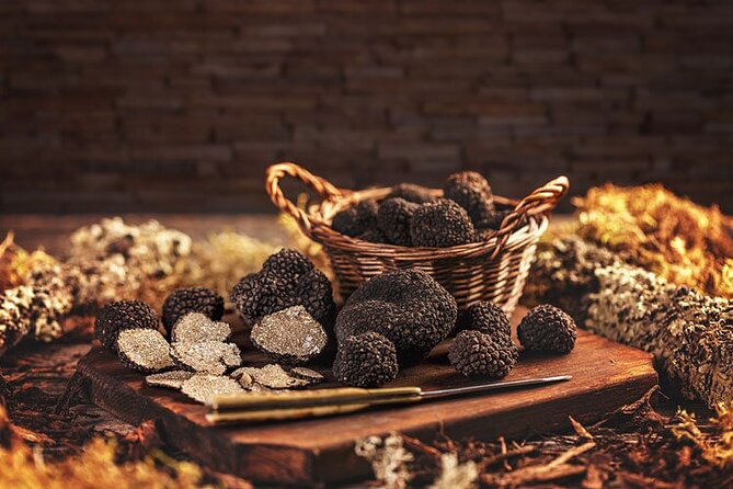 Truffle hunting tour from Rijeka - The Authentic Flavor of Istria in a Private Setting