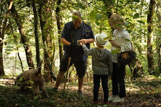 Truffle Picking Experience with 3 Course Meal in Chianti hills - What is the Truffle Picking Experience?