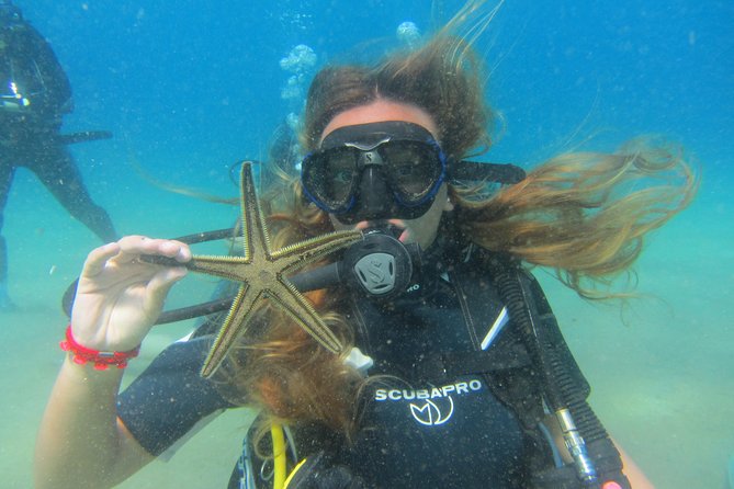 Try a DIVE, discover scuba diving in Mykonos - Key Points