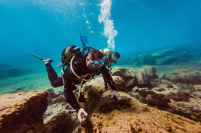 Try Dive in Tenerife - Key Points