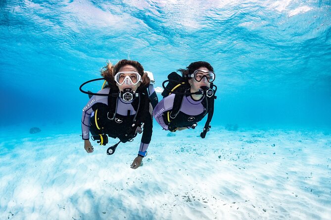Try Dive - PADI Discover Scuba Diving in Tenerife - The Benefits of Small Group Instructors