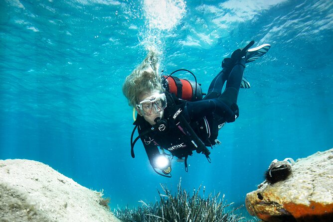 Try Dive - Scuba Diving with a private guide, incl. photos - An Introduction to the Green Bay Experience
