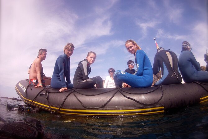 Try Scuba Diving in a turtle area (boat) - Itinerary Breakdown: What to Expect