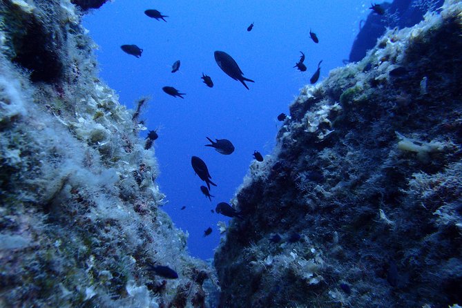 Try Scuba Diving in Lanzarote (No experience needed) - What to Expect from This Lanzarote Scuba Experience