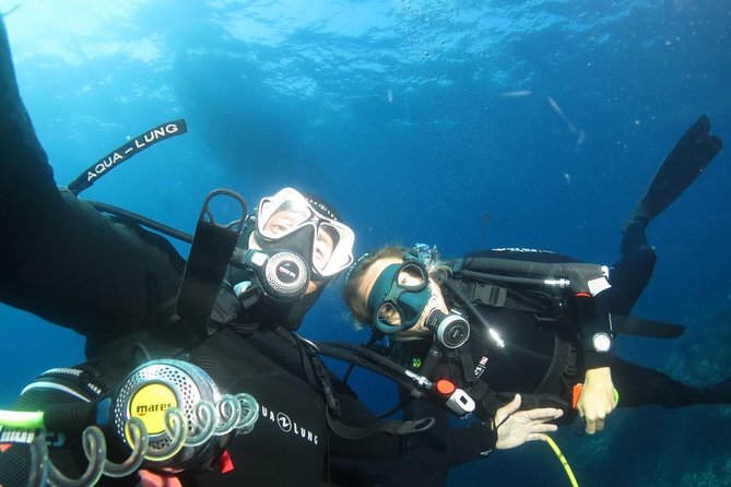Try Scuba Diving - Setting the Scene: What the Tour Offers