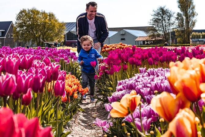 Tulip Experience and Keukenhof Flower Gardens Tour from Amsterdam - Why Choose This Tour?