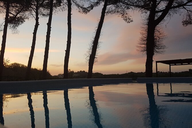 Tuscan Dinner in a Villa in an Ancient Siena Olive Grove - Exploring the Experience
