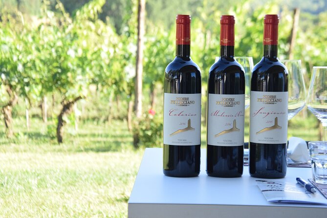 Tuscany Wine Tours in a family winery Podere Pellicciano - Key Points