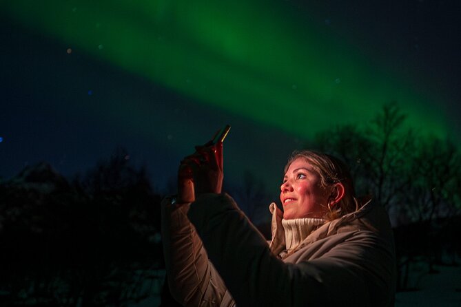 Ultimate Aurora Hunt Northern Lights Van Tour with Hot Drinks - The itinerary in detail: What you might experience