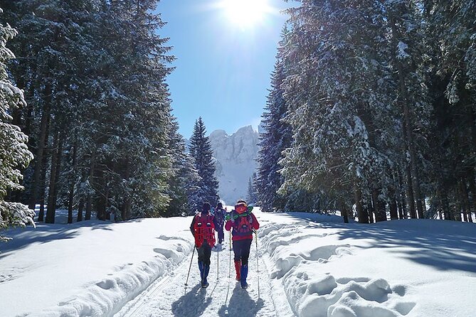 UNESCO Dolomites great expedition from Venice by Yellowboot - The Experience: A Complete Breakdown of Your Day