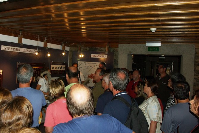 Upper Douro Walk & WineTour - An Introduction to the Tour