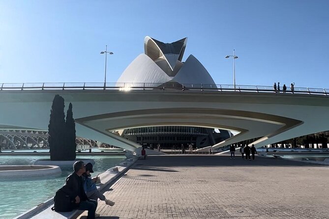 Valencia: City of Arts and Sciences Private Walking Tour - What the Tour Covers – Step by Step