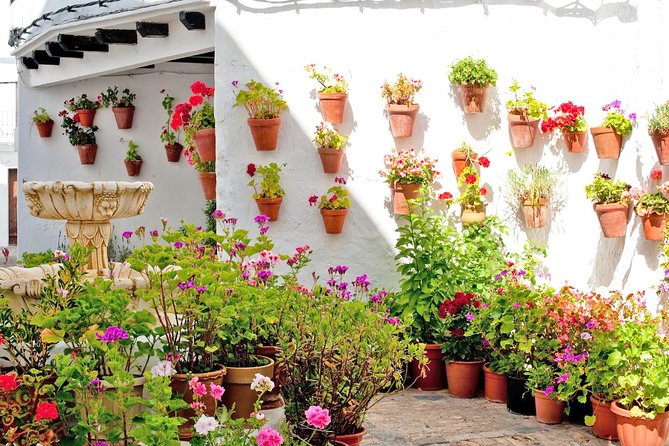 Vejer de la Frontera & Bolonia Beach Private Tour from Cadiz - What Travelers Say: Authentic Experiences and Scenic Views