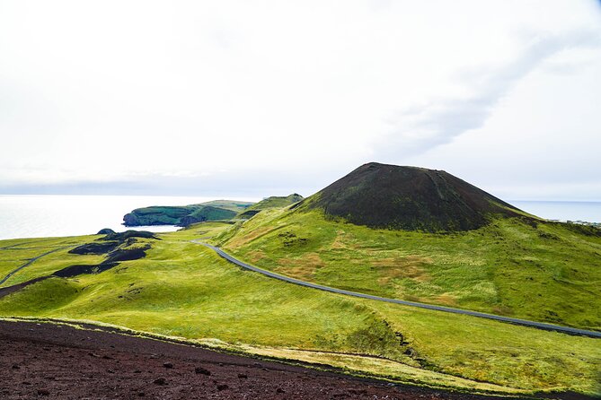 Vestmannaeyjar private day tour - Key Points