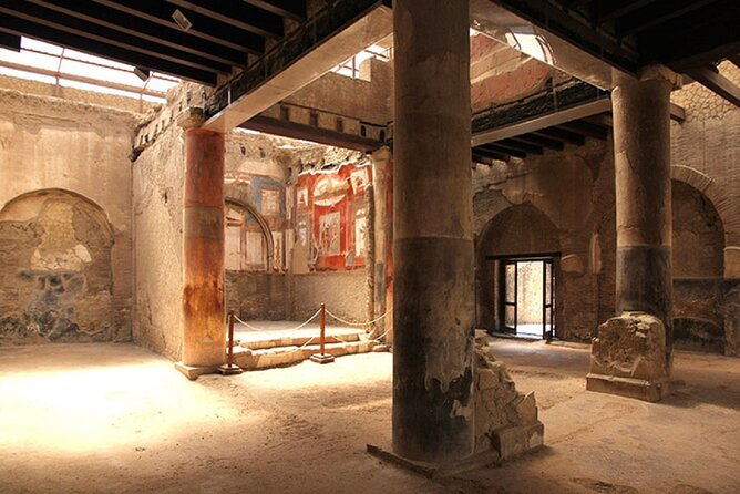 Vesuvius and Herculaneum Day Trip from Naples with skip the line - Introduction: Who This Tour Is For