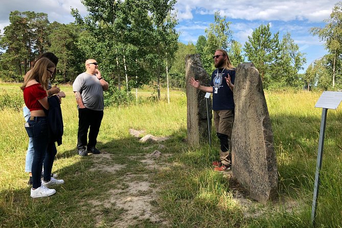 Viking History Small Group Tour from Stockholm: Half Day Including Sigtuna - An In-Depth Look at the Viking History Tour