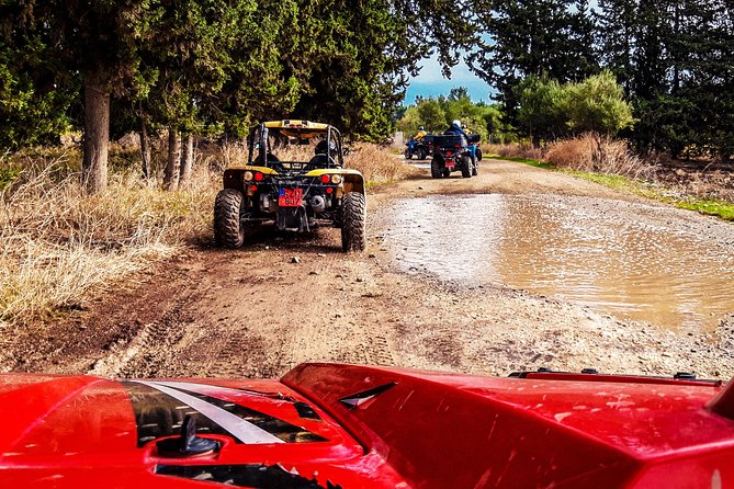 Village & Mountain Buggy Safari in Paphos - Introduction: What to Expect from the Village & Mountain Buggy Safari
