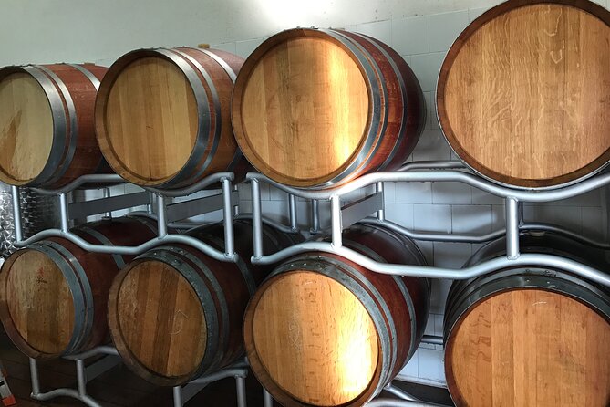 Vineyard experience in Pozzuoli - The Itinerary in Detail