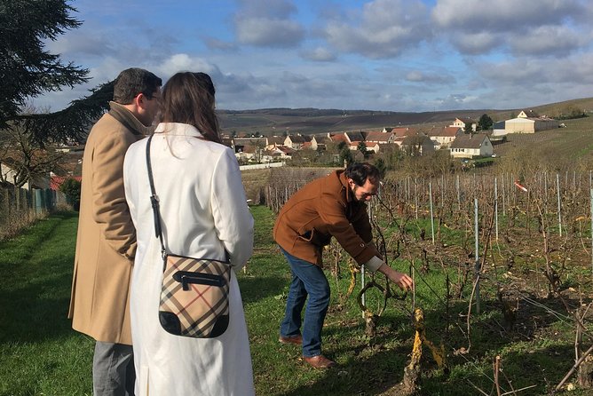 Vineyard tour & Tasting of all our lineup - An In-Depth Look at the Tour Experience