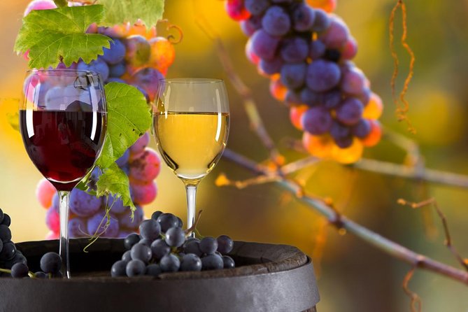 Vinyard Tour By Horse & Carriage With Delicious Tasting - Umbria - What to Expect on the Vineyard Horse & Carriage Tour