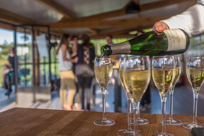 VIP Champagne Region Day Trip with 7 Tastings & Lunch from Paris - Key Points