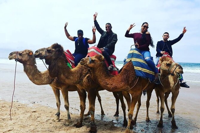 Vip Full Day Private Tangier Tour From Malaga All Inclusive - Cultural and Historical Insights in Tangier