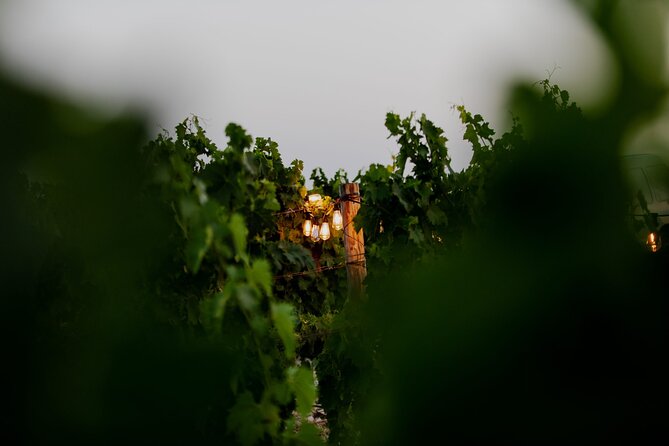 VIP Private Split/Trogir: Chef-Prepared Meal With Wine, Sea View - Key Points