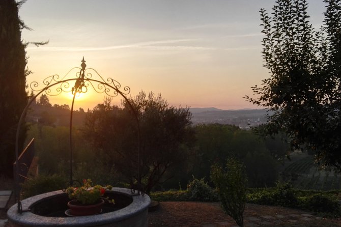 Visit among vineyards and wine cellar with wine tasting in Nizza Monferrato - An Authentic Look at Nizza Monferrato’s Vineyards and Cellars