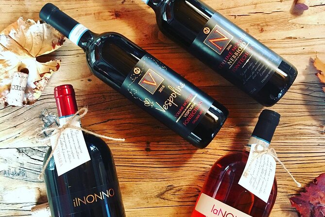 Visit and tasting of 3 D.O.C.wines Fontechiara - A closer look at the Fontechiara experience