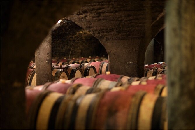 Visit of our 15th century cellars - Exploring Maison Champy’s 15th-century Cellars