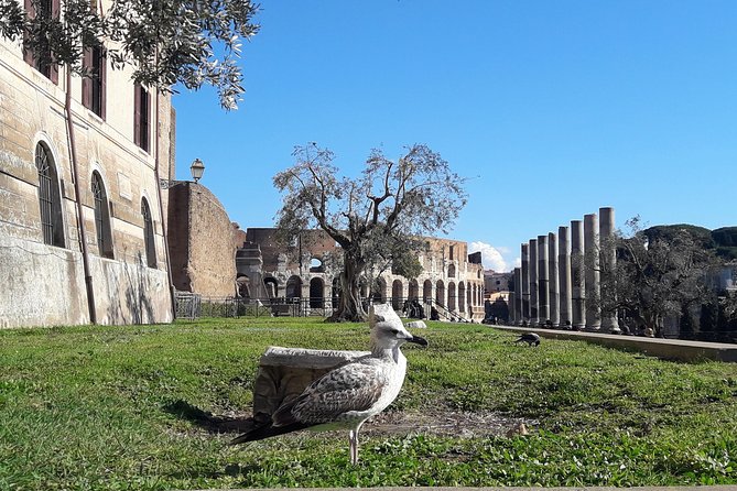 Visit Rome Highlights in 1 Day: VIP Coliseum and Vatican Tour, lunch & transfers - What Makes This Tour Stand Out?
