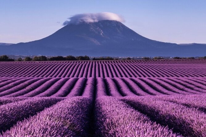 Visit the lavender fields, the Gorges du Verdon and Moustiers. - An Overview of Provence’s Most Famous Spots