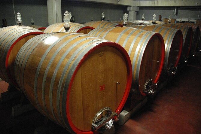 Visit to a Winery in Salento with Wine tasting and light lunch. From Lecce - Who Will Love This Tour?