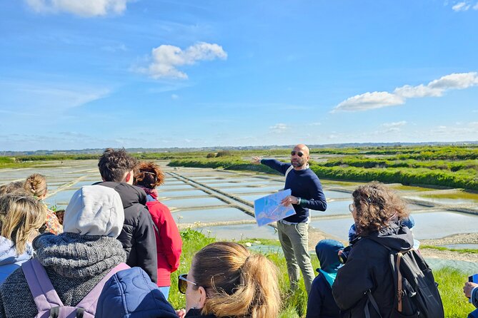 Visit to Saline - Guérande Salt Marshes - A Closer Look at the Guérande Salt Marshes Tour